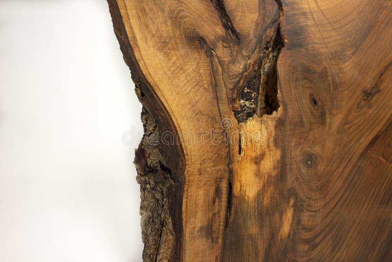 Wooden Texture with Live Edge Stock Photo - Image of wood, branch ...