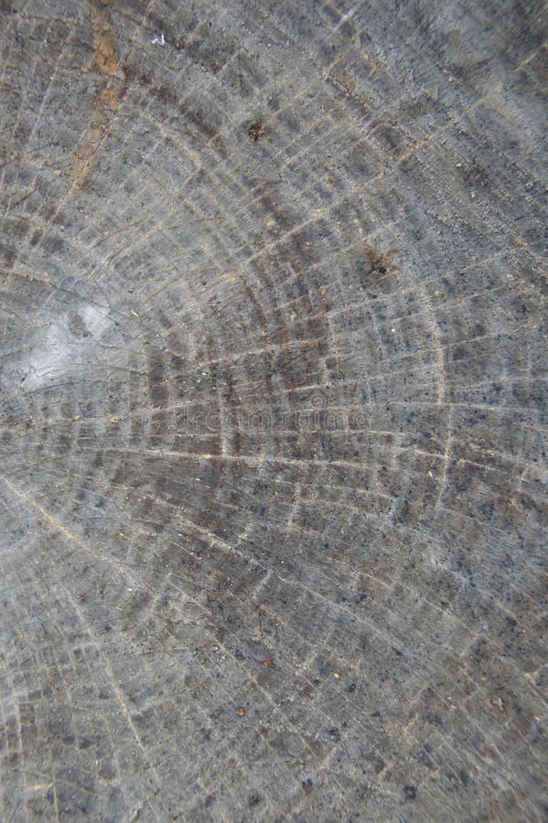 Solid Wood and Processed Lumber Surface Textures Stock Photo - Image of ...