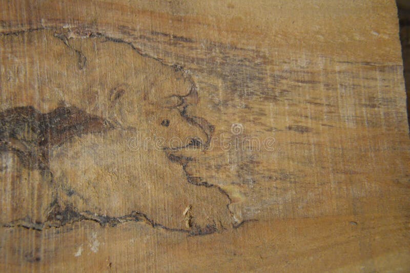 Solid Wood and Processed Lumber Surface Textures Stock Photo - Image of ...