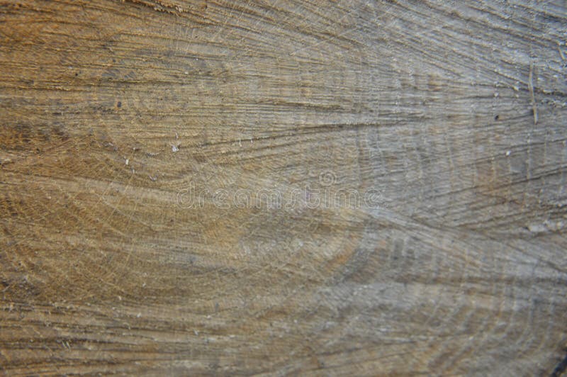 Solid Wood and Processed Lumber Surface Textures Stock Image - Image of ...