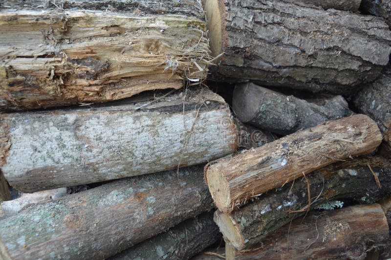 Solid Wood and Processed Lumber Surface Textures Stock Image - Image of ...