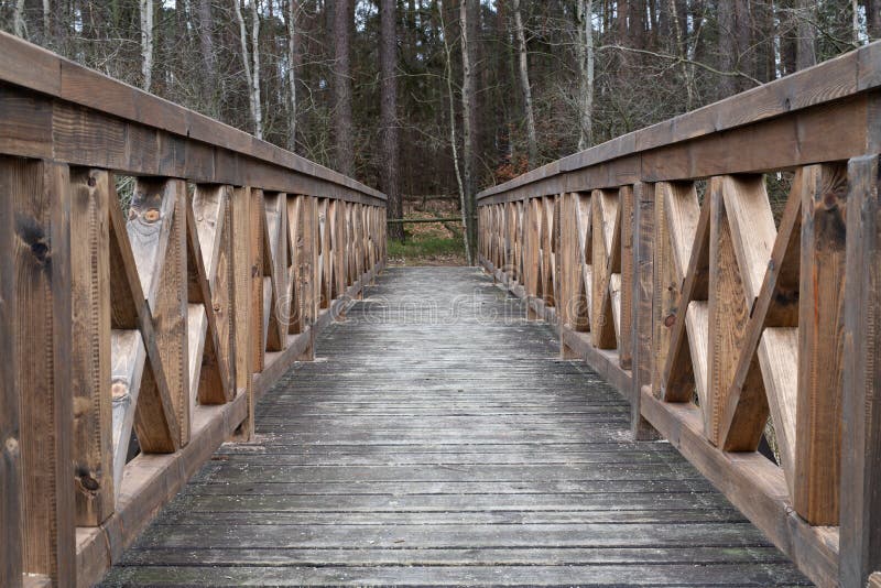 A Solid Wooden Bridge Over the Forested Wetlands. Forest Reserve of ...