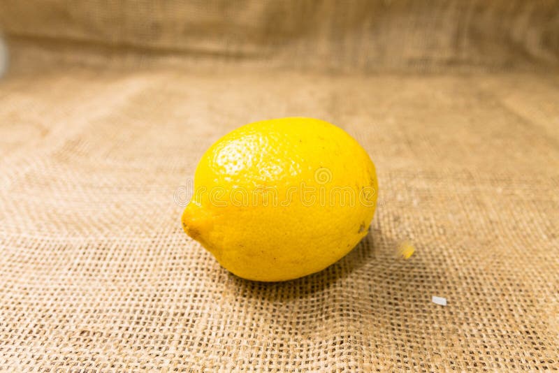 Solid yellow lemon. stock image. Image of plant, natural - 80918039