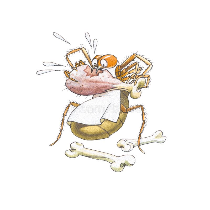 Camel Spiders Stock Illustrations – 20 Camel Spiders Stock ...