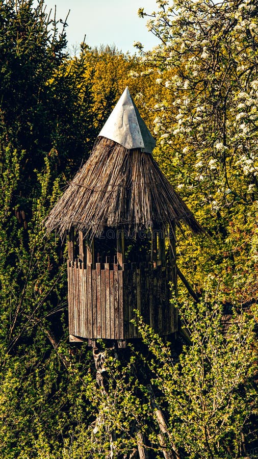 A Hut Sitting in the Middle of a Forest Filled with Trees Stock Photo ...
