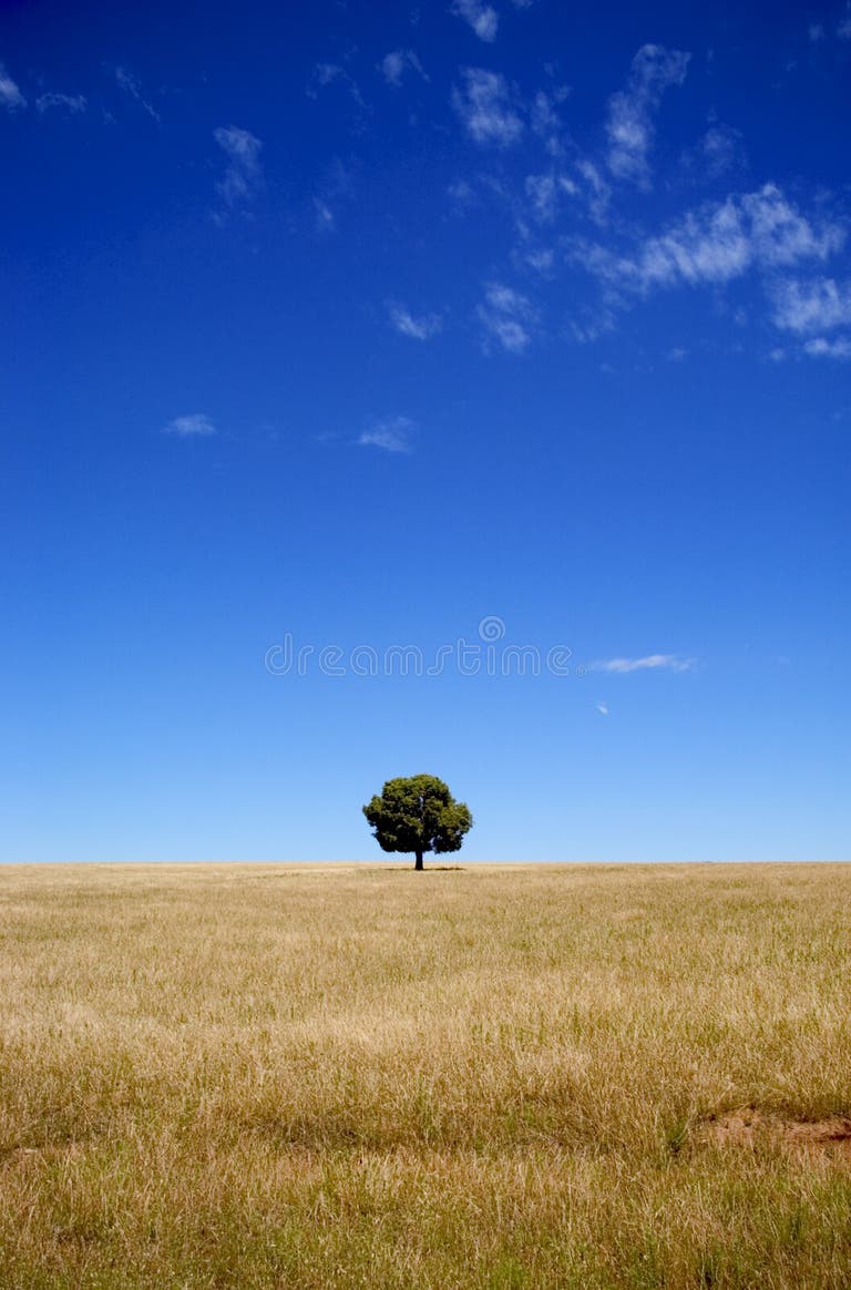 46,058 Solitary Tree Stock Photos - Free & Royalty-Free Stock Photos ...