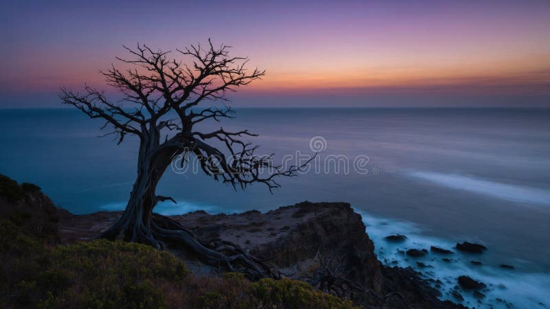 Silhouette of a Dead Tree at Sunset Over the Ocean Stock Illustration ...