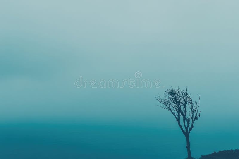 Solitary Tree in Misty Landscape with Minimalist Blue Hue Stock Image ...