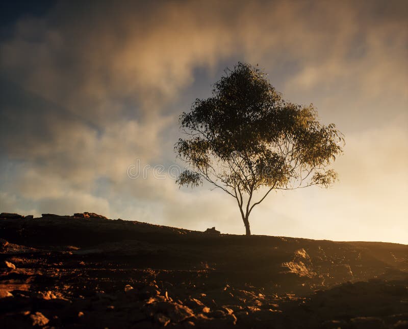Solitary Tree on Sandstone Cliff. Stock Photo - Image of blue, scenery ...