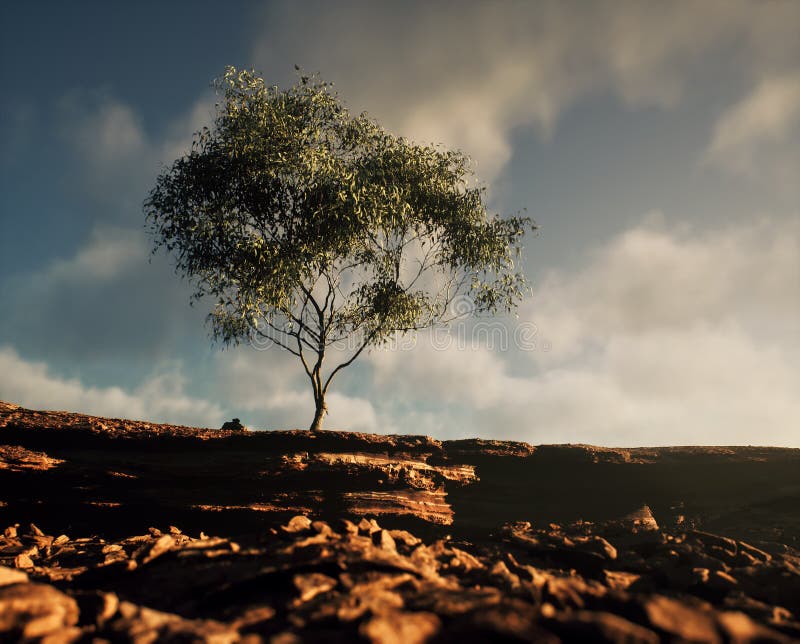 Solitary Tree on Sandstone Cliff. Stock Image - Image of clouds ...