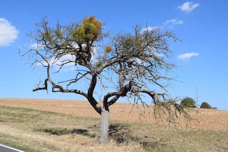 Twisted Wind Shaped Form Stock Photos - Free & Royalty-Free Stock ...