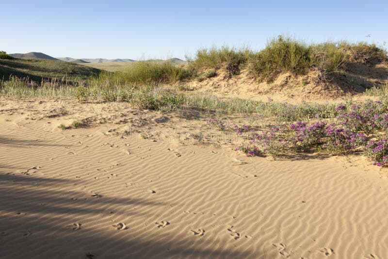Solitude in the desert stock photo. Image of solitude - 28850602