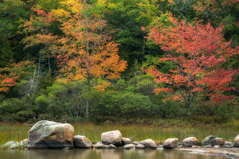 Echo lake colors stock image. Image of cruise, acadianational - 102674939