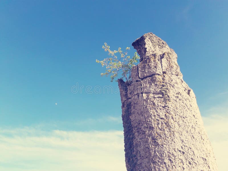 Solitude stock image. Image of outdoors, solitude, concept - 86052419