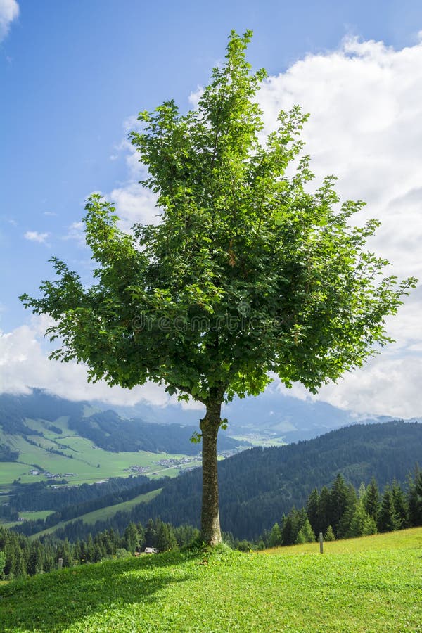 Solitude In Nature stock image. Image of relax, relaxation - 10822231