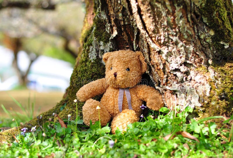 Solitude Teddy Bear S'asseyant Dans Le Jardin. Photo stock - Image du ... Solitude Teddy Bear S'asseyant Dans Le Jardin. Photo stock - Image du ...
