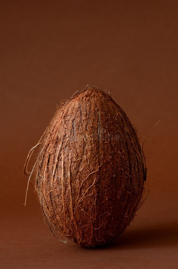 Solo coco entero imagen de archivo. Imagen de coco, vivo - 75442391