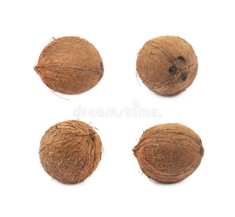 Solo coco entero aislado foto de archivo. Imagen de comer - 107563634