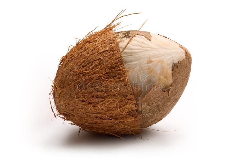 Solo Coco Entero En El Fondo Blanco Foto de archivo - Imagen de ...