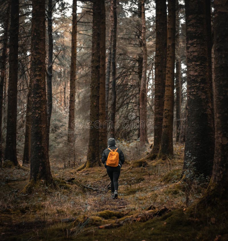Solo Female Backpacker Walking in Forest Stock Image - Image of ...