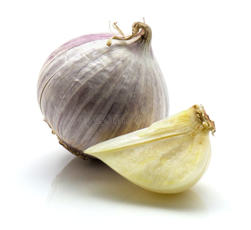 Solo garlic isolated stock image. Image of food, purified - 103873407