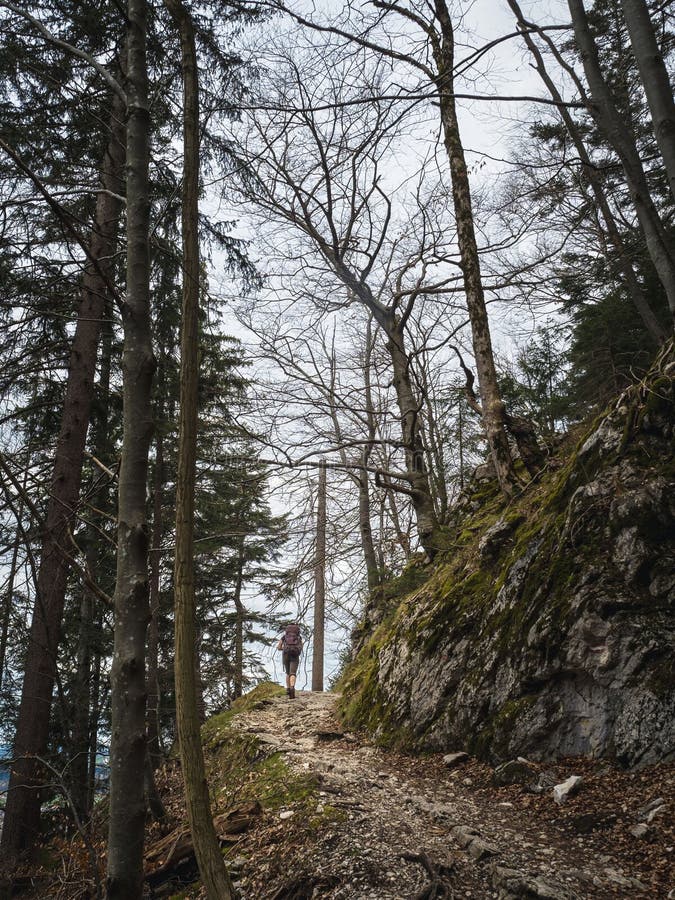 Solo Hiker on a Forest Mountain Trail Stock Image - Image of wilderness ...