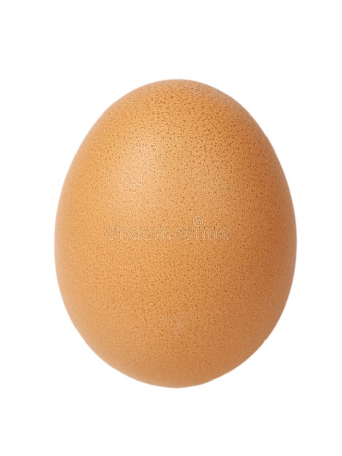 Solo huevo imagen de archivo. Imagen de macro, color - 23993475