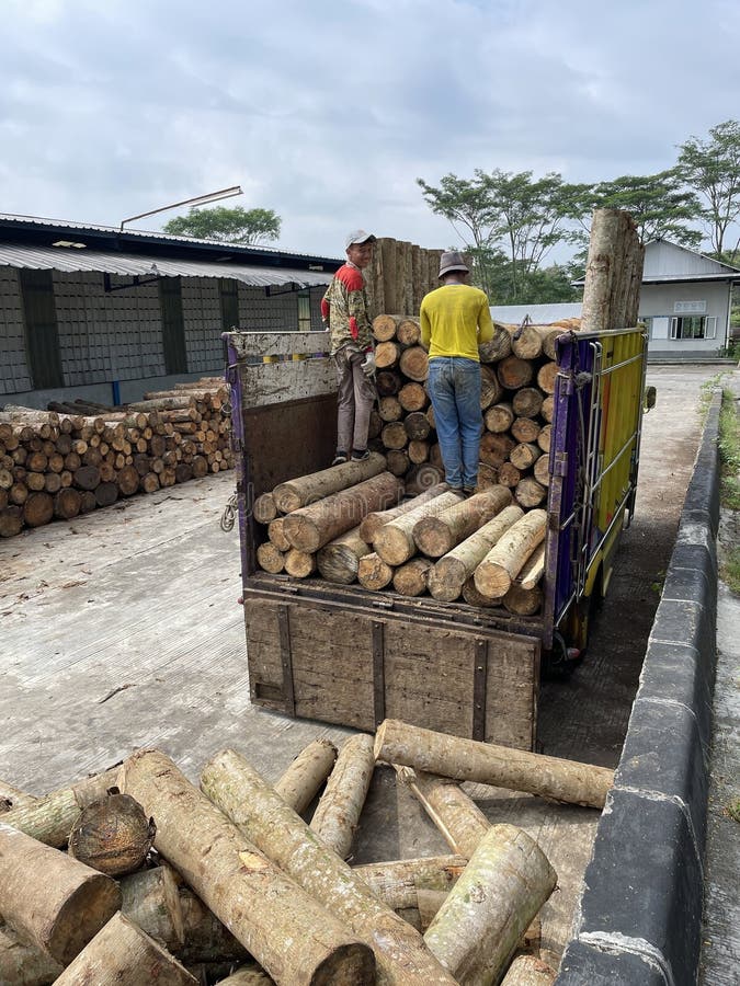 The Process of Loading Goods into Containers. Editorial Photo - Image ...