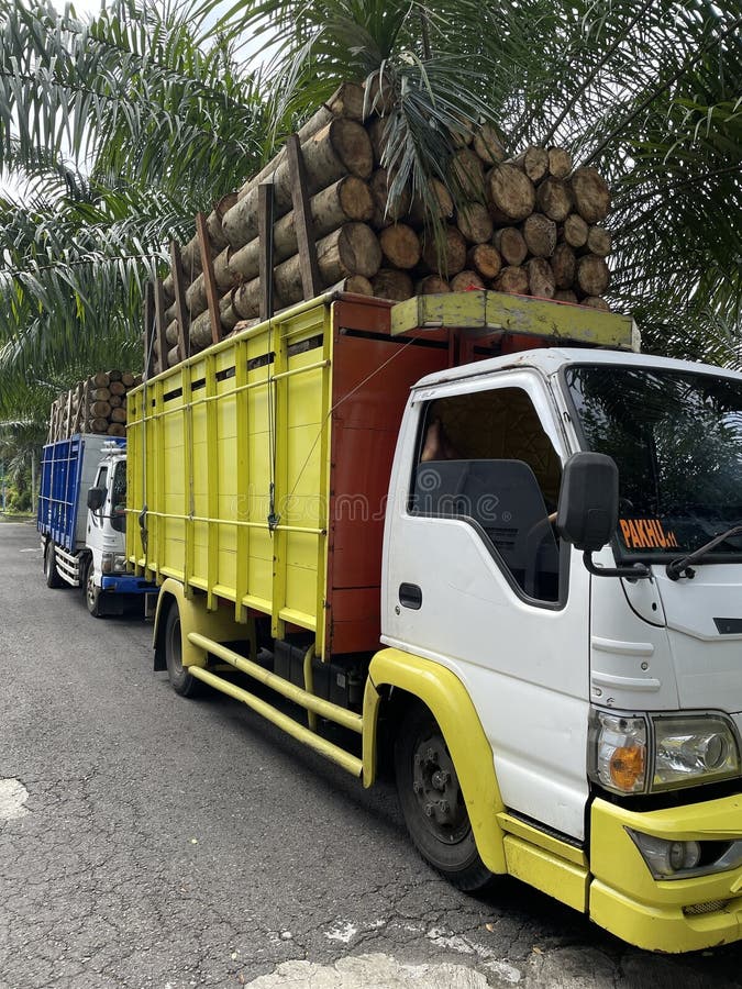 A Queue of Trucks Loading Round Logs Waiting To Be Unloaded. Editorial ...