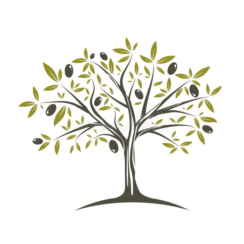Solo olivo ilustración del vector. Ilustración de olivo - 133705401