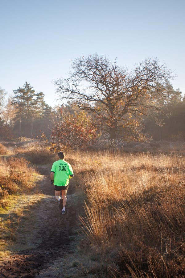 Solo Runner Running in the Morning Sun Stock Image - Image of activity ...