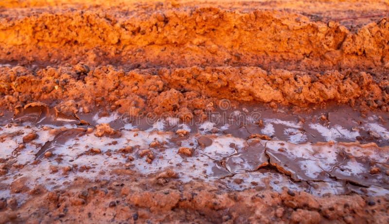 Solo salino foto de stock. Imagem de secura, parque - 245154476