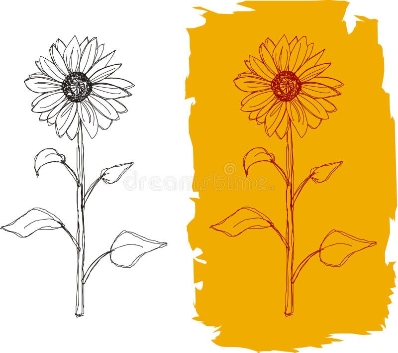 Solros Stock Illustrationer, Vektorer, & Clipart – (5,590 Stock ...