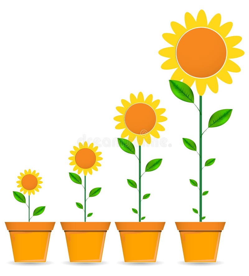 Tecknad Filmplats Med Isolerade Solrosor - Stock Illustrationer ...