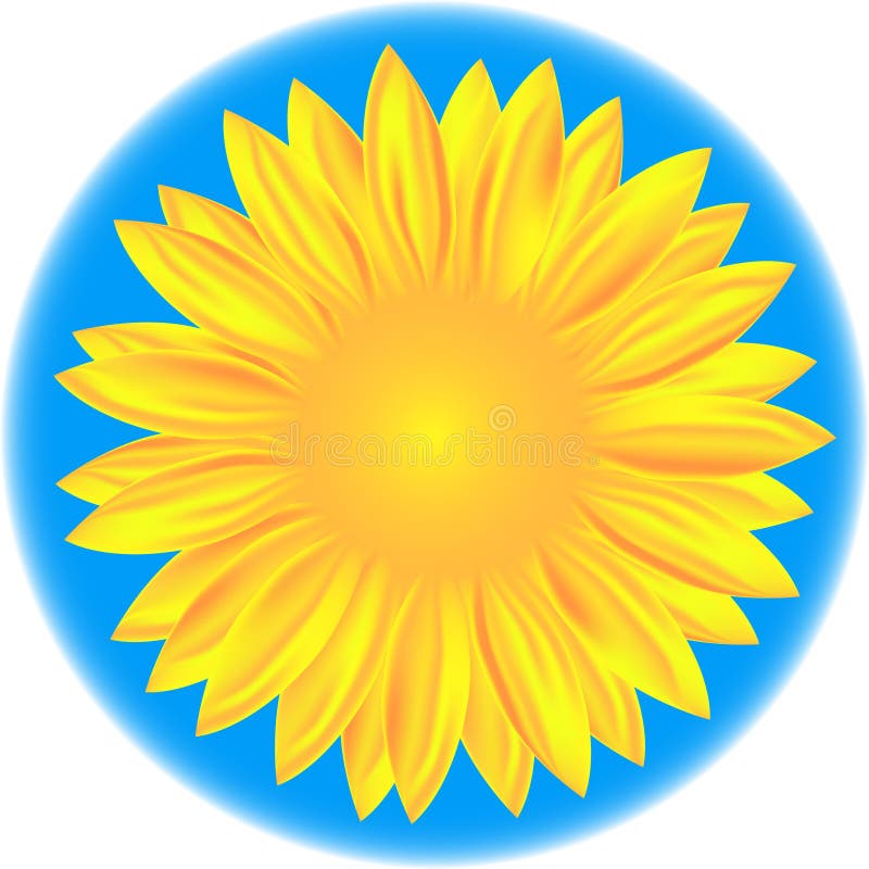 Solros vektor illustrationer. Illustration av solros - 42590531