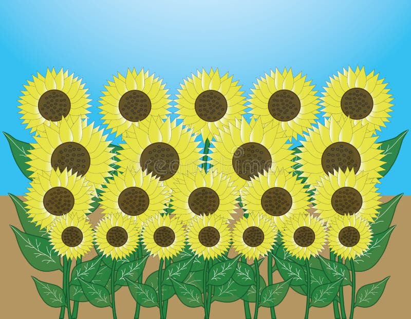 Solros vektor illustrationer. Illustration av cirkel - 45478865