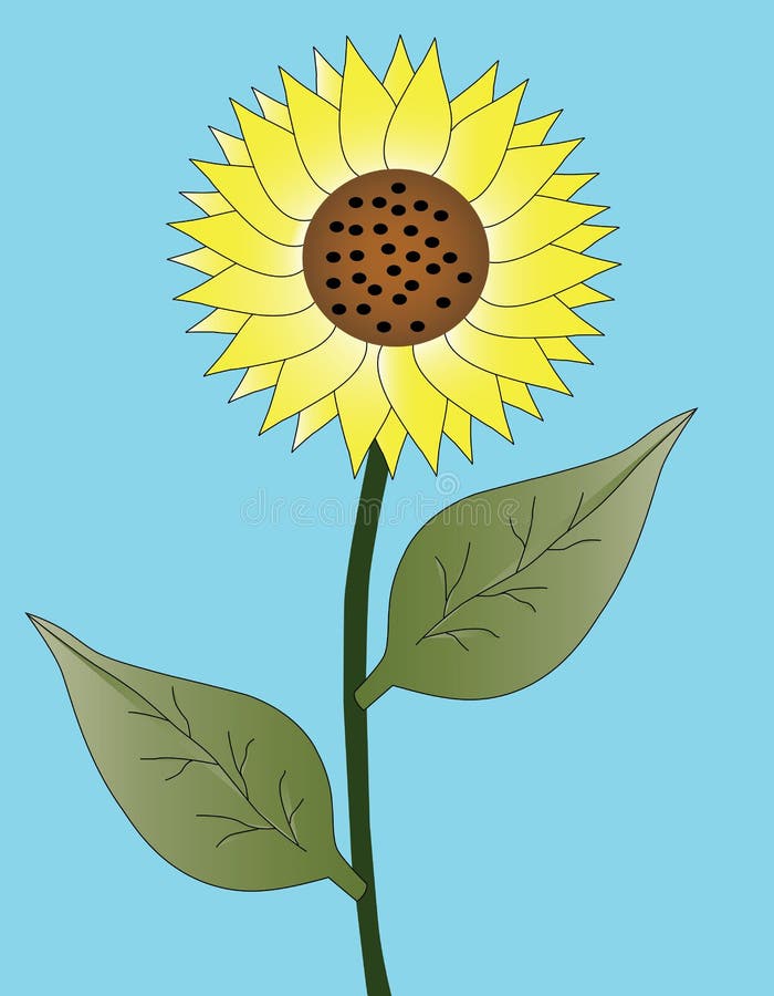 Solros vektor illustrationer. Illustration av cirkel - 45478865