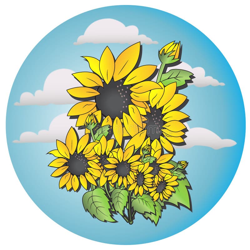 Solros vektor illustrationer. Illustration av grön, utformning - 63479312