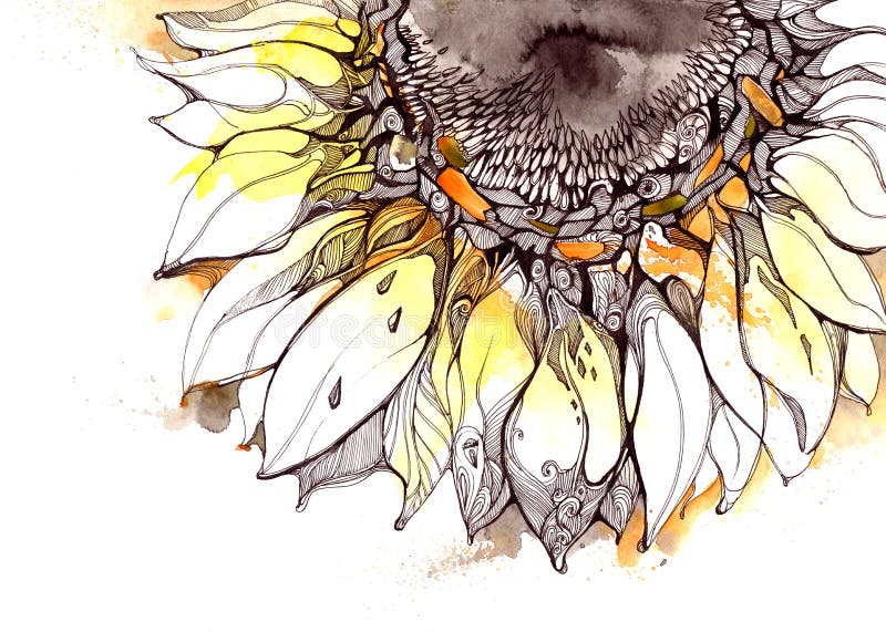 Solros stock illustrationer. Illustration av kronblad - 64588272