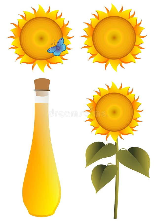 Solros i en kruka vektor illustrationer. Illustration av blommar - 39529742