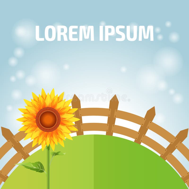 Solros- och staketbaner vektor illustrationer. Illustration av lantbruk ...