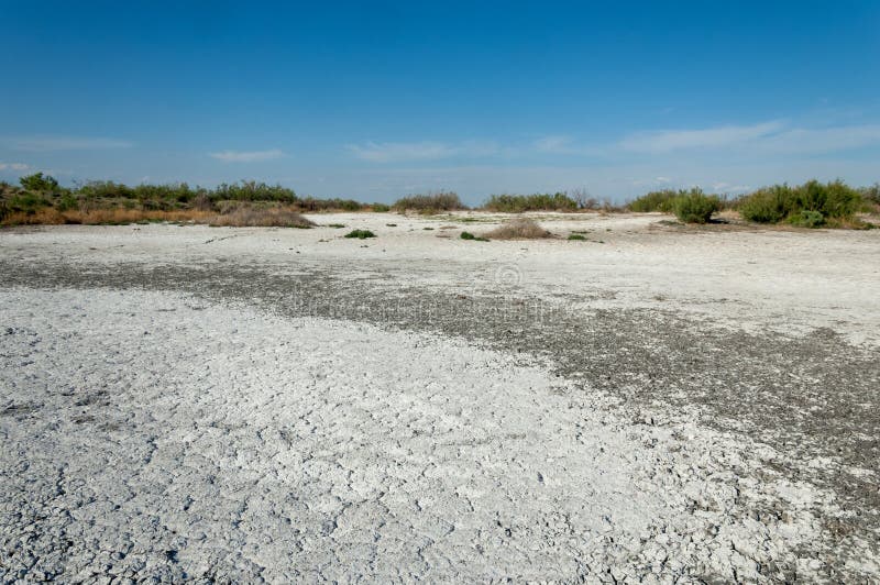 Sols Salins De Texture Image Stock Image Du Poissons 42599641