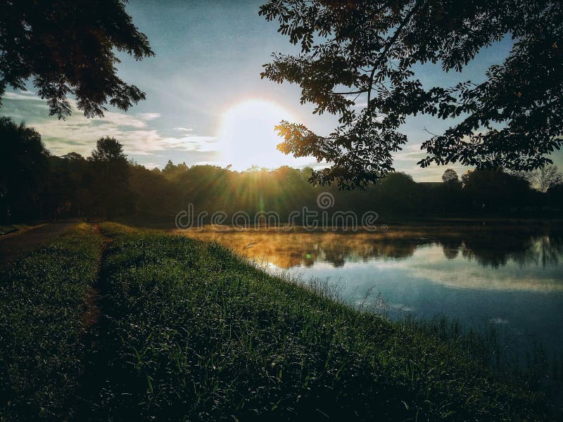 Solsken fotografering för bildbyråer. Bild av natur - 117017687