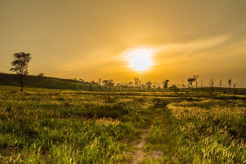 Solsken arkivfoto. Bild av liggande, fjäder, idylliskt - 73359592