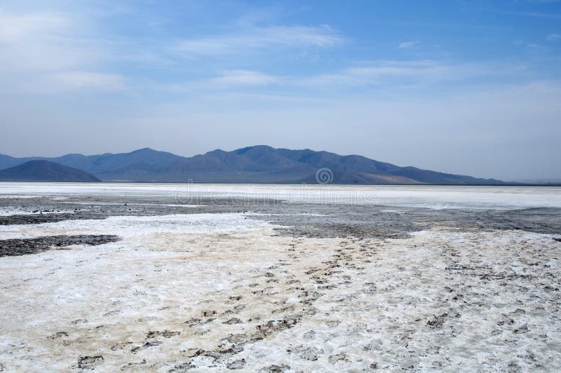 Solt lake stock photo. Image of lake, pool, tourism, field - 25511278