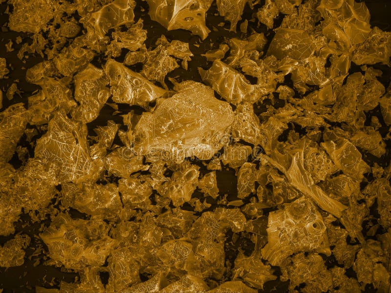 Coffee Bean, Scanning Electron Microscopy Stock Image - Image of brown ...