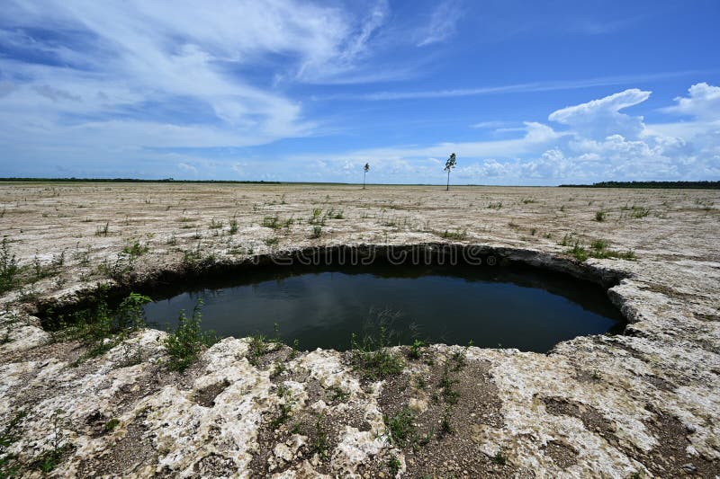 Solution Hole in Hole-in-the-Donut Restoration Area in Everglades ...