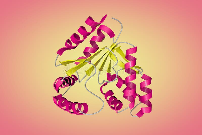 Solution Structure of an Essential CMP Kinase of Streptococcus ...