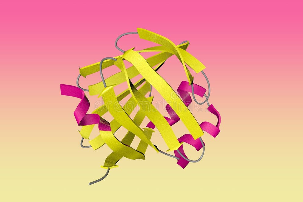 Solution Structure of Recombinant Human Epidermal-type Fatty Acid ...