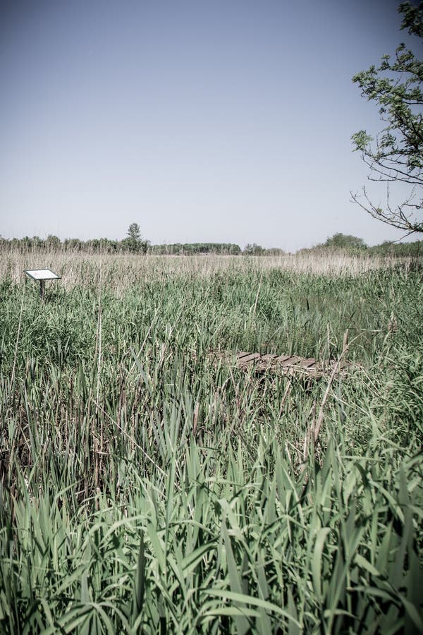 Solvig Area Stock Photos - Free & Royalty-Free Stock Photos from Dreamstime